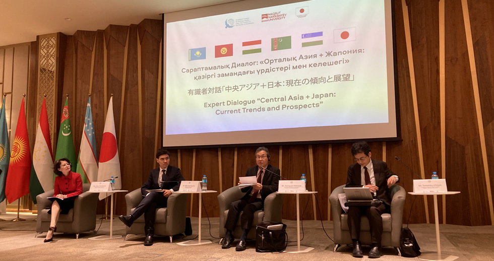 The Japan Institute of International Affairs